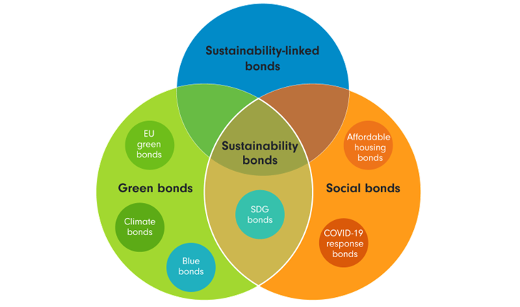Finding the right tree in a forest: understanding different types of ESG bonds | Fidelity UAE