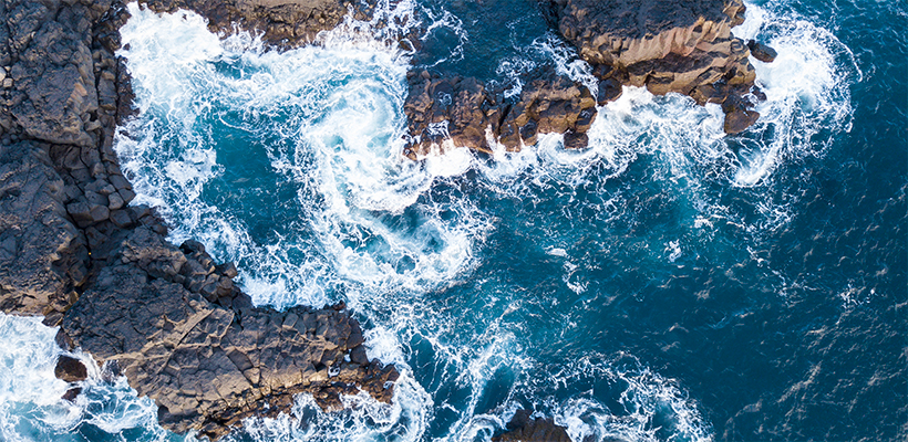 Why good ocean health is critical to tackling climate change | Fidelity UAE